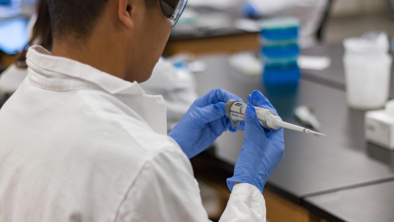 First-Year Seminars - Course-based Undergraduate Research Experience (CURE)